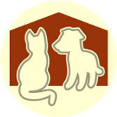 La vie du pigeon - Cosa Animalia