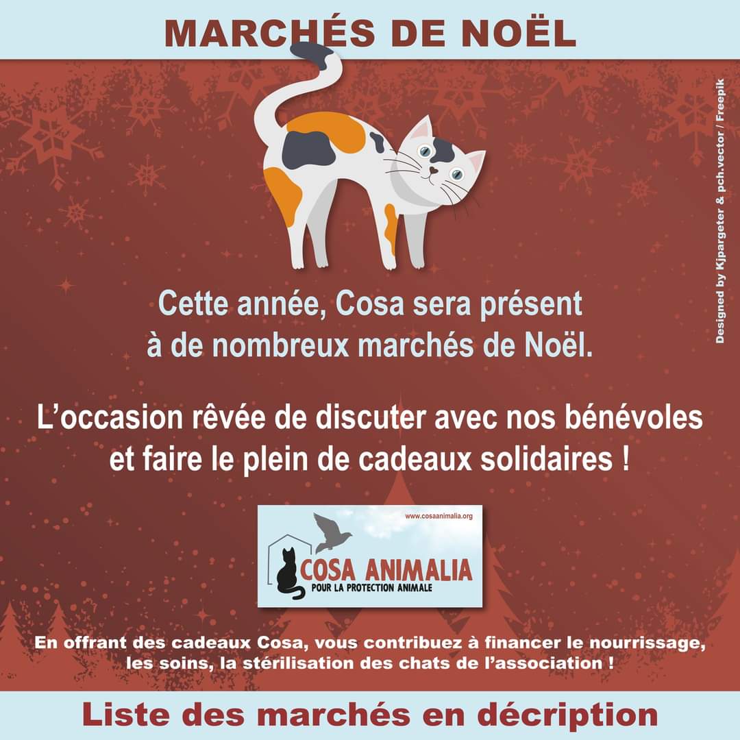 Cosa Animalia aux Marchés de Noël ! - Cosa Animalia